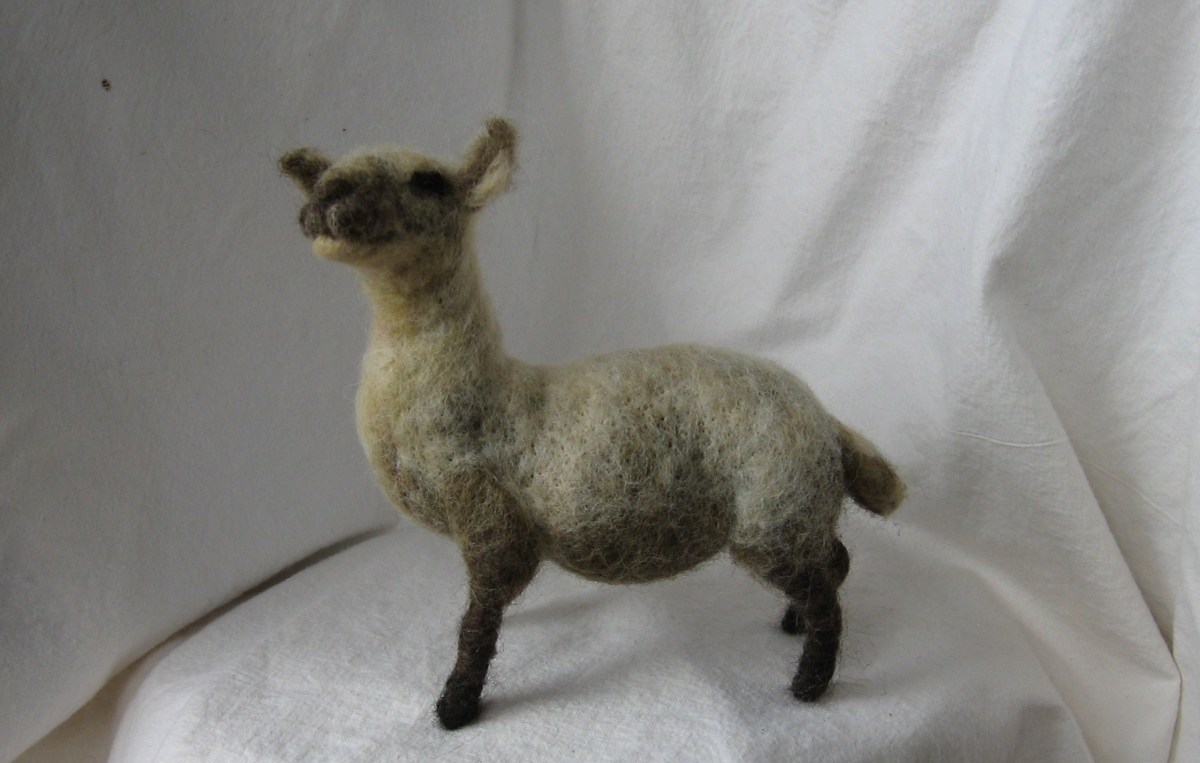 In Praise of the Humble Sheep | SALTY HAG STUDIO