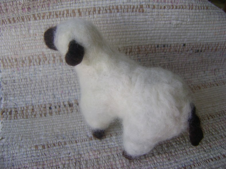 In Praise of the Humble Sheep | SALTY HAG STUDIO